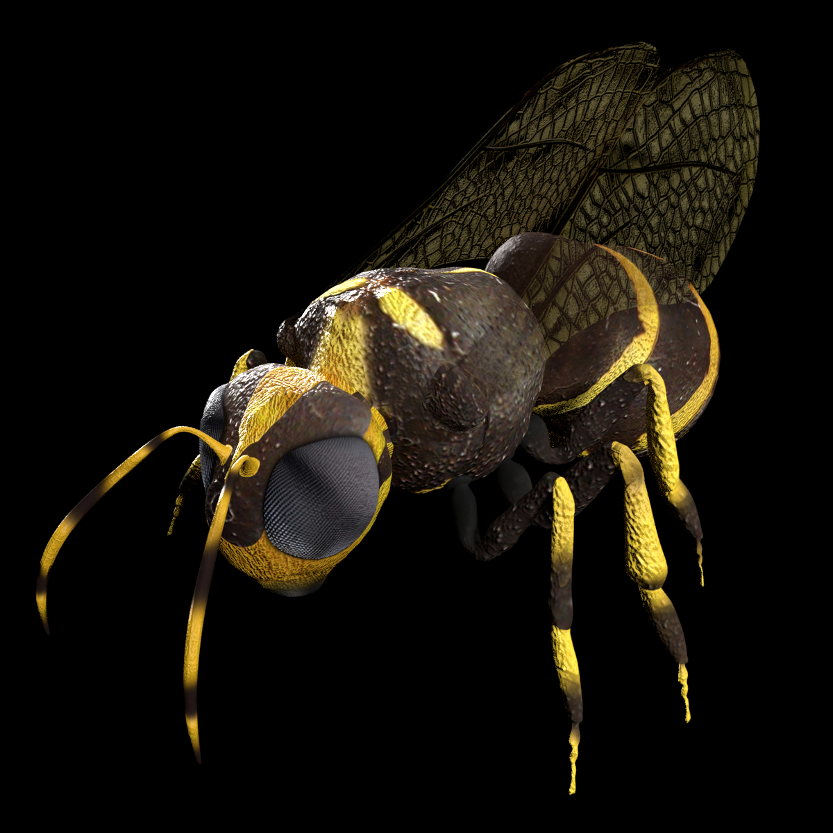 3D insect rigged - TurboSquid 1667424