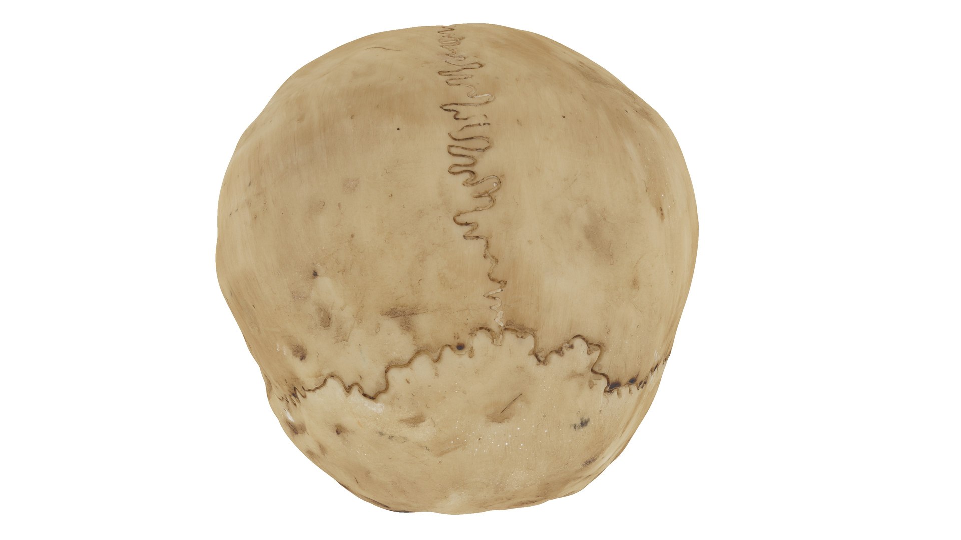 3D - diffuse photogrammetry model - TurboSquid 1399747