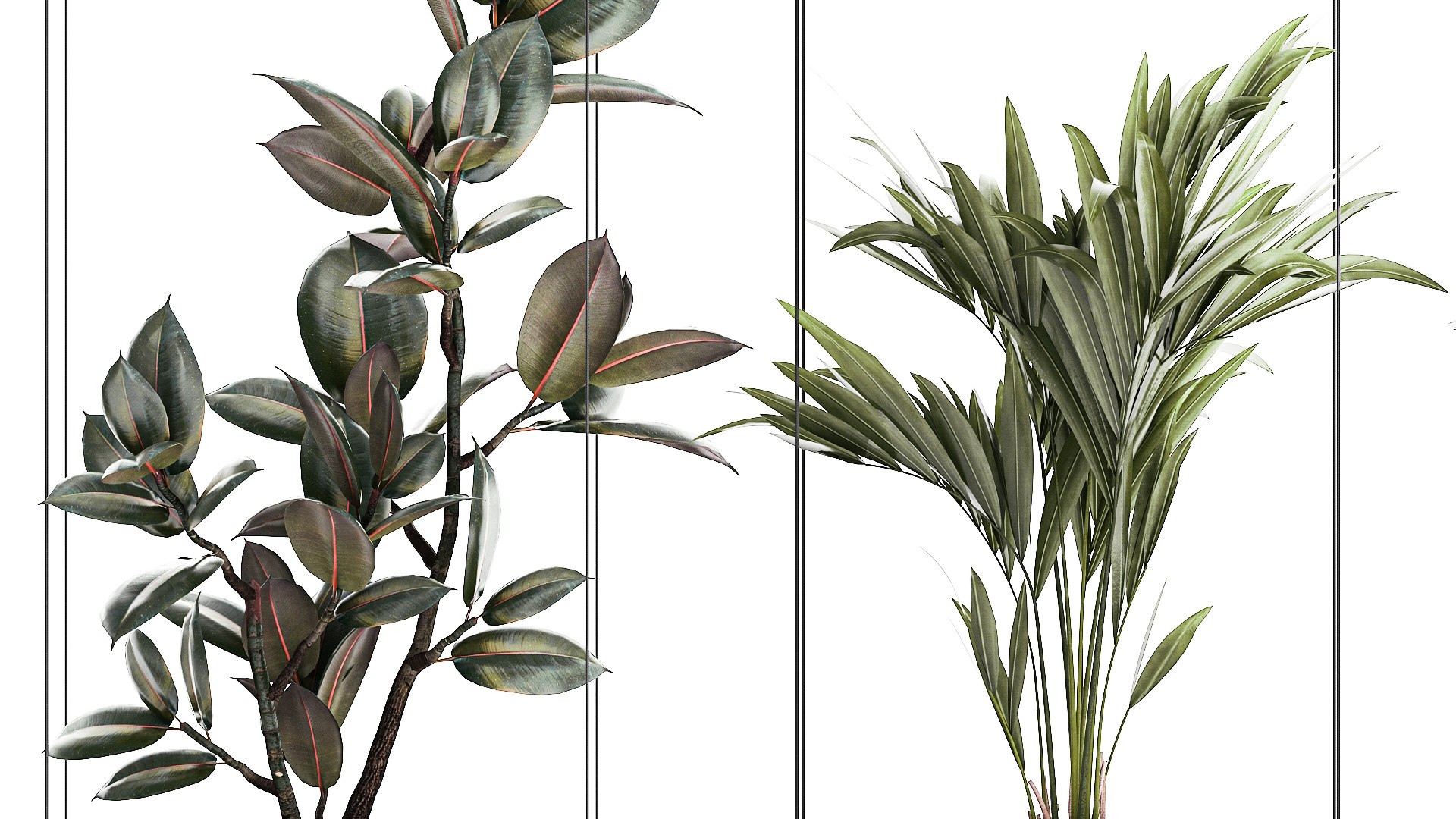 Rope shelf Cycas Ficus Calathea Strelitzia pot 1425 model - TurboSquid ...