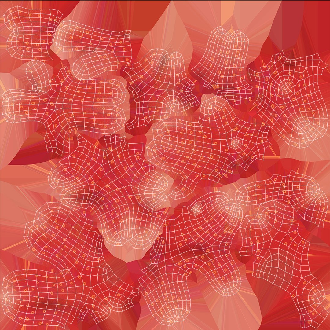 3D Montipora Setosa - TurboSquid 1478352