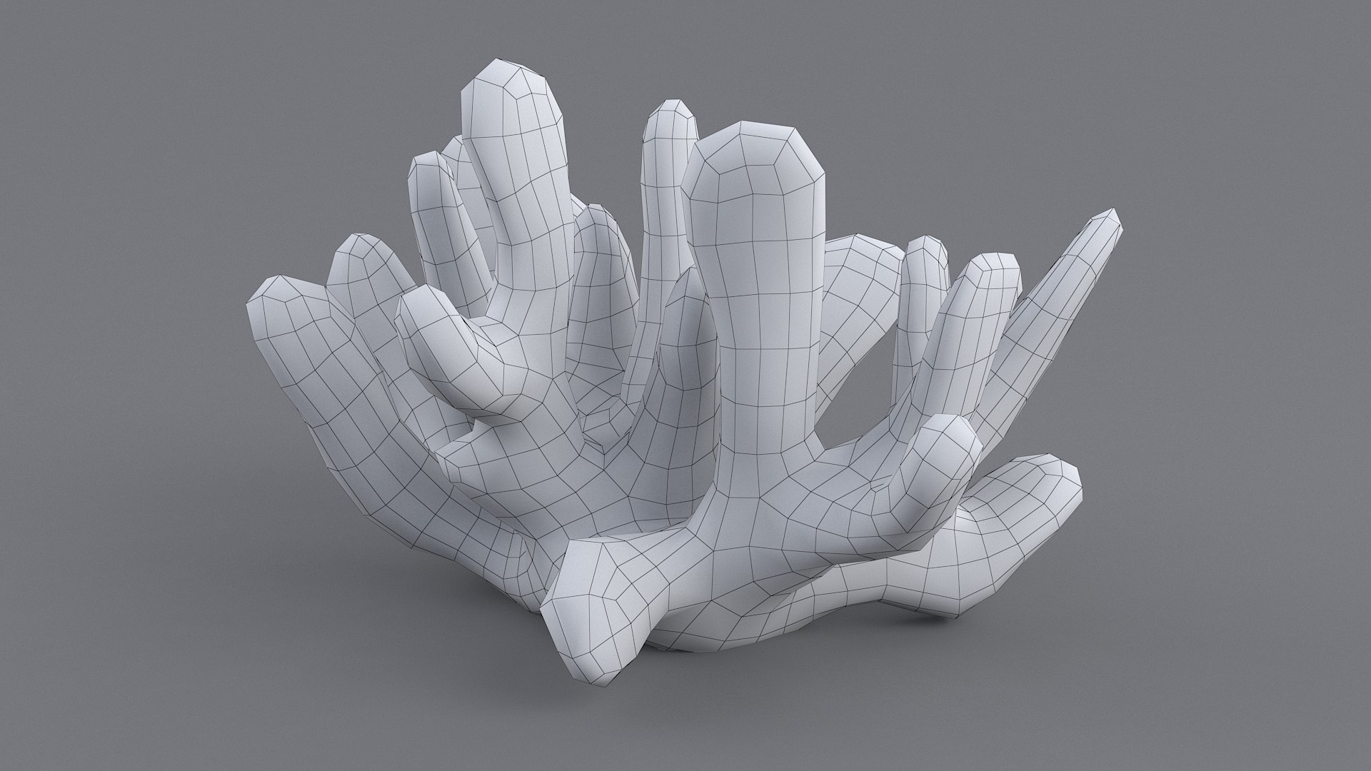 3D Montipora Setosa - TurboSquid 1478352