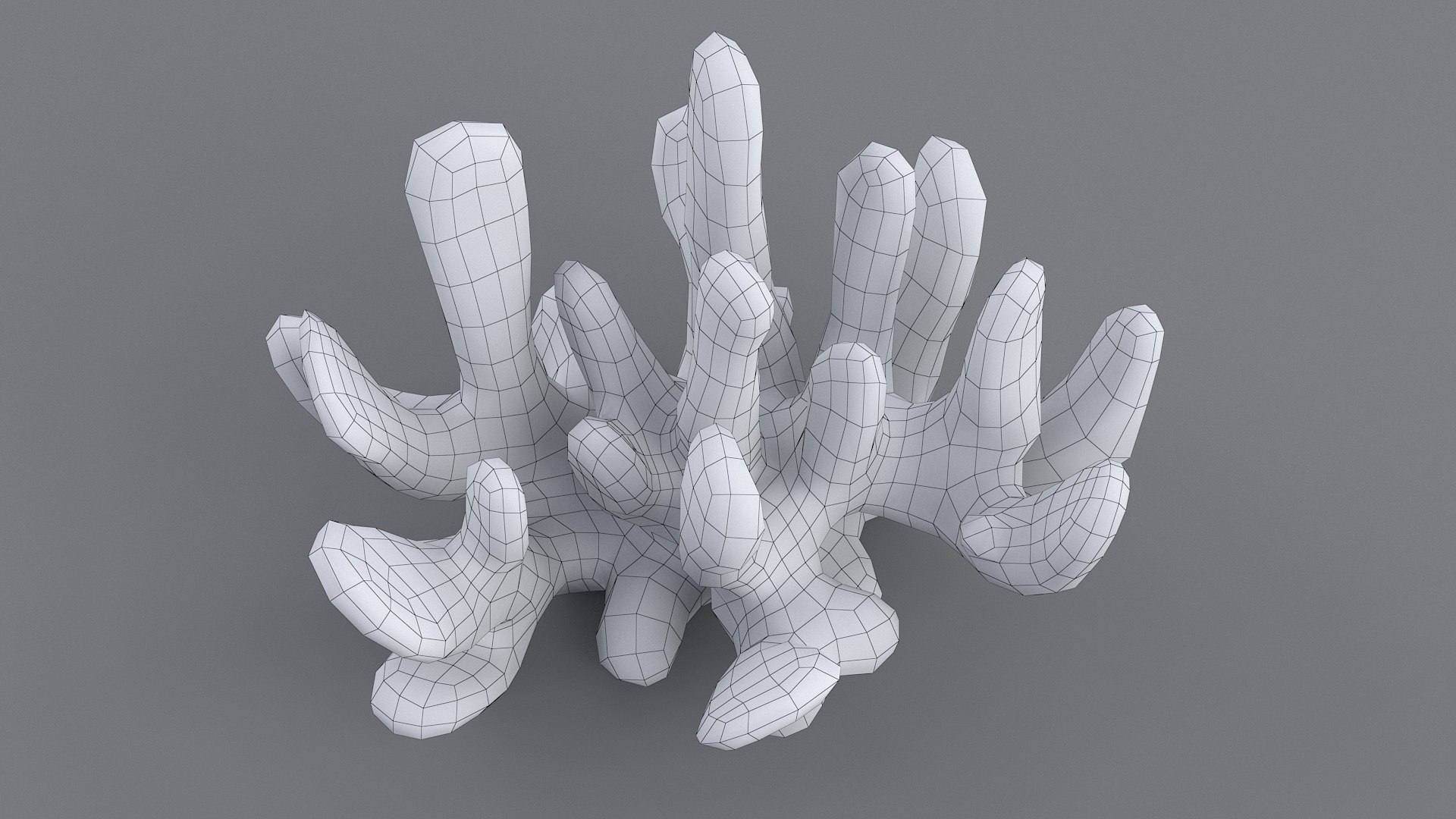 3D Montipora Setosa - TurboSquid 1478352