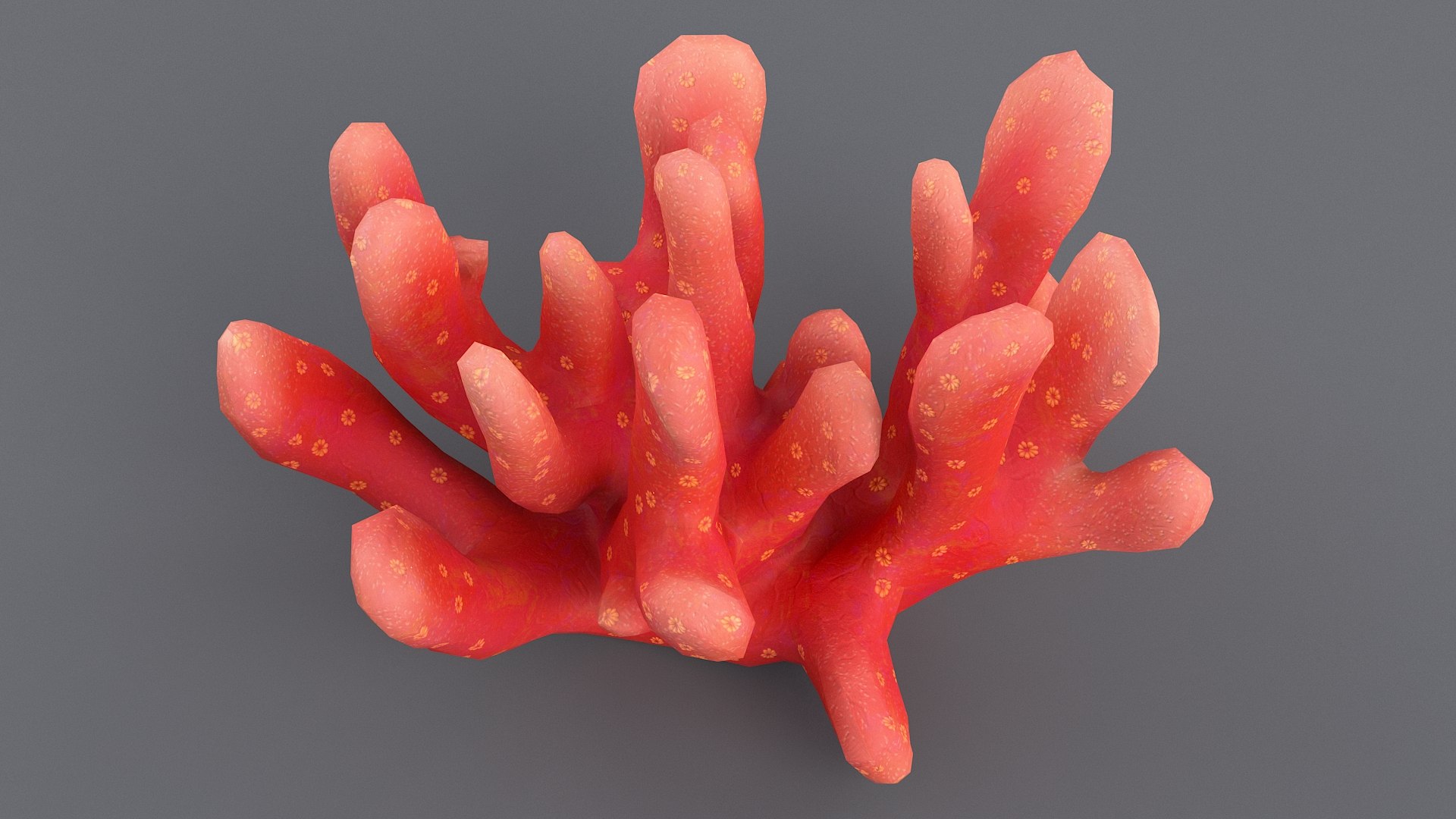 3D Montipora Setosa - TurboSquid 1478352
