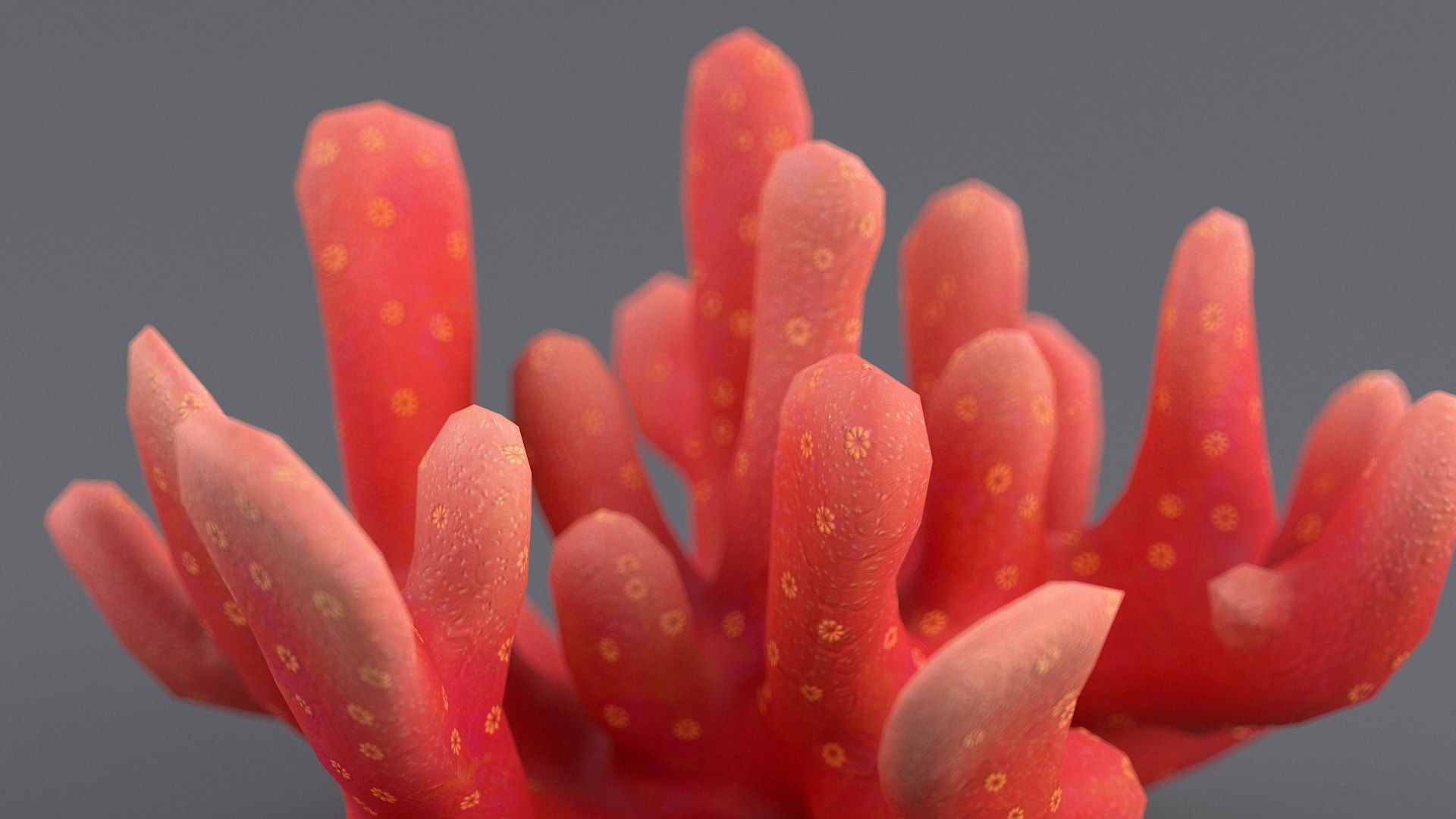 3D Montipora Setosa - TurboSquid 1478352