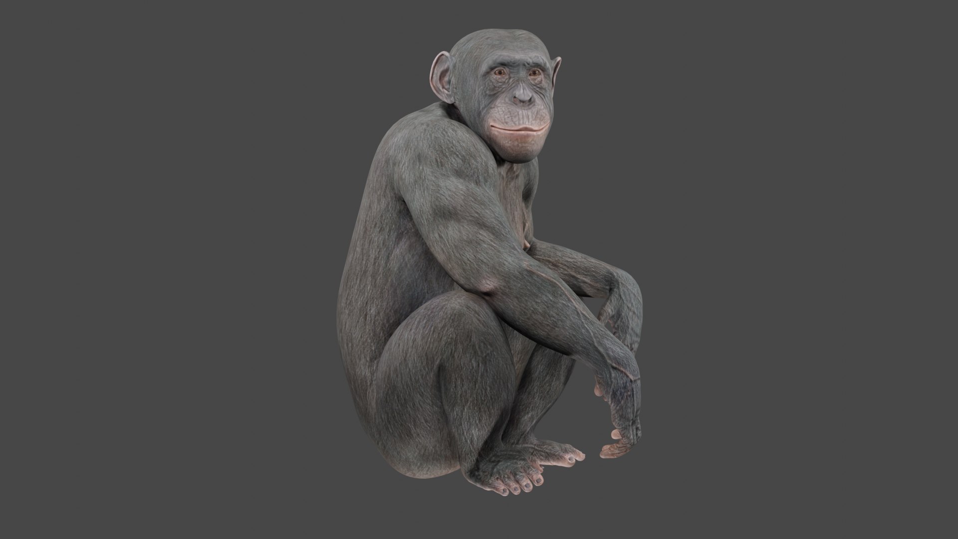 3D Model Realestic Ape - TurboSquid 2365555