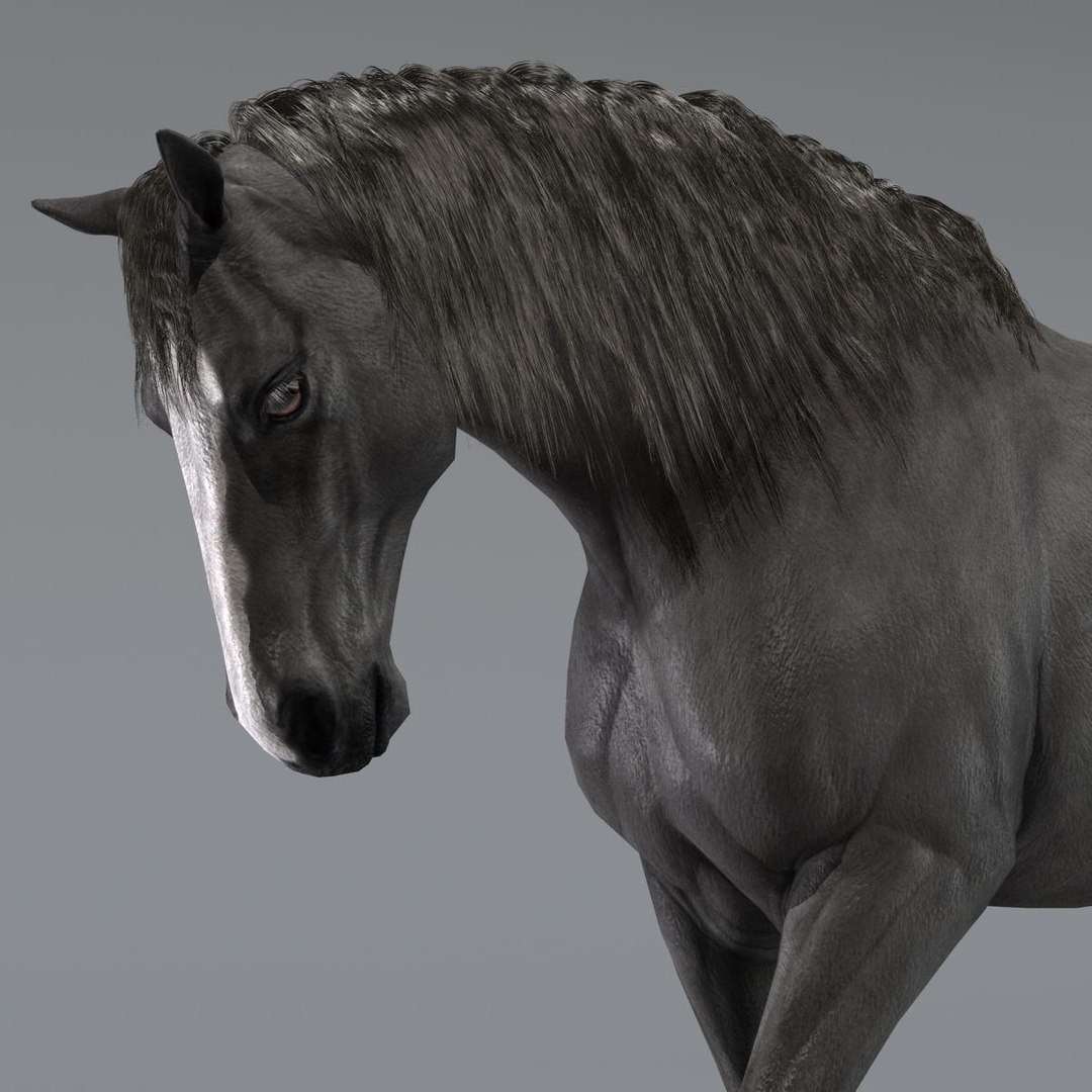3d model realistic horse