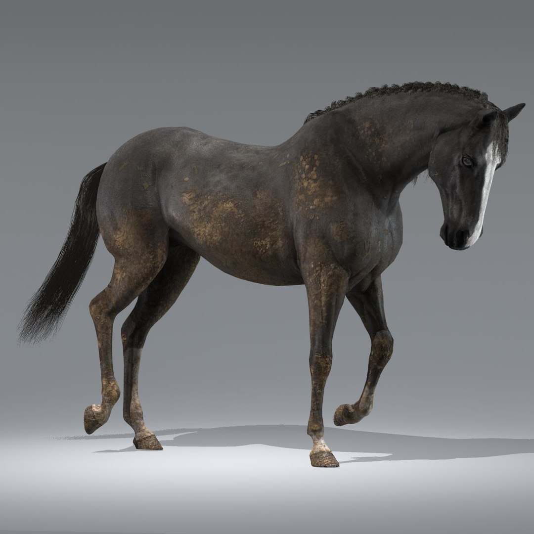 3d model realistic horse