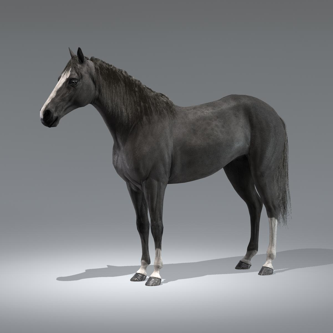 3d model realistic horse