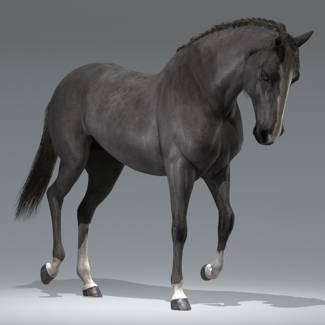 3d model realistic horse