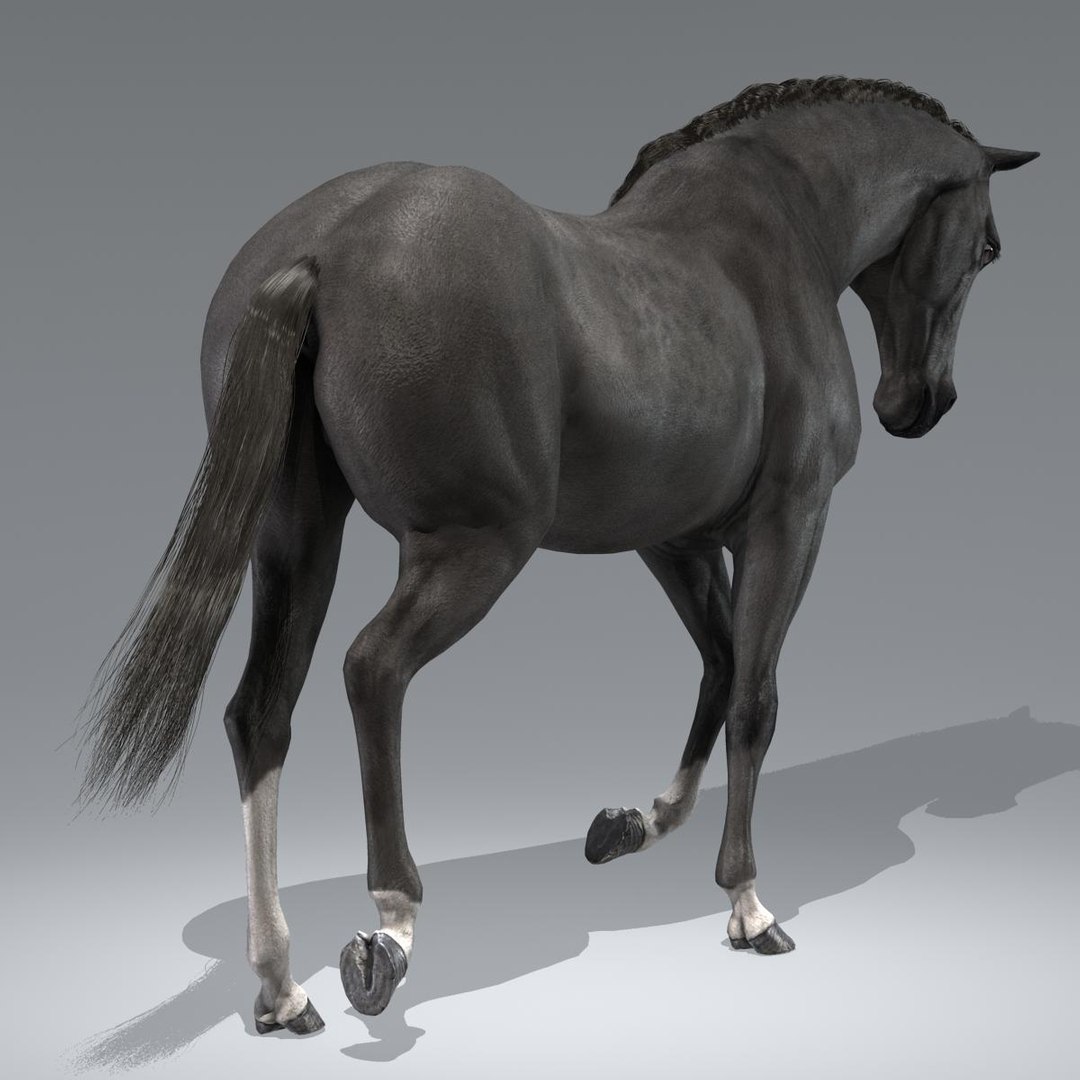 3d model realistic horse