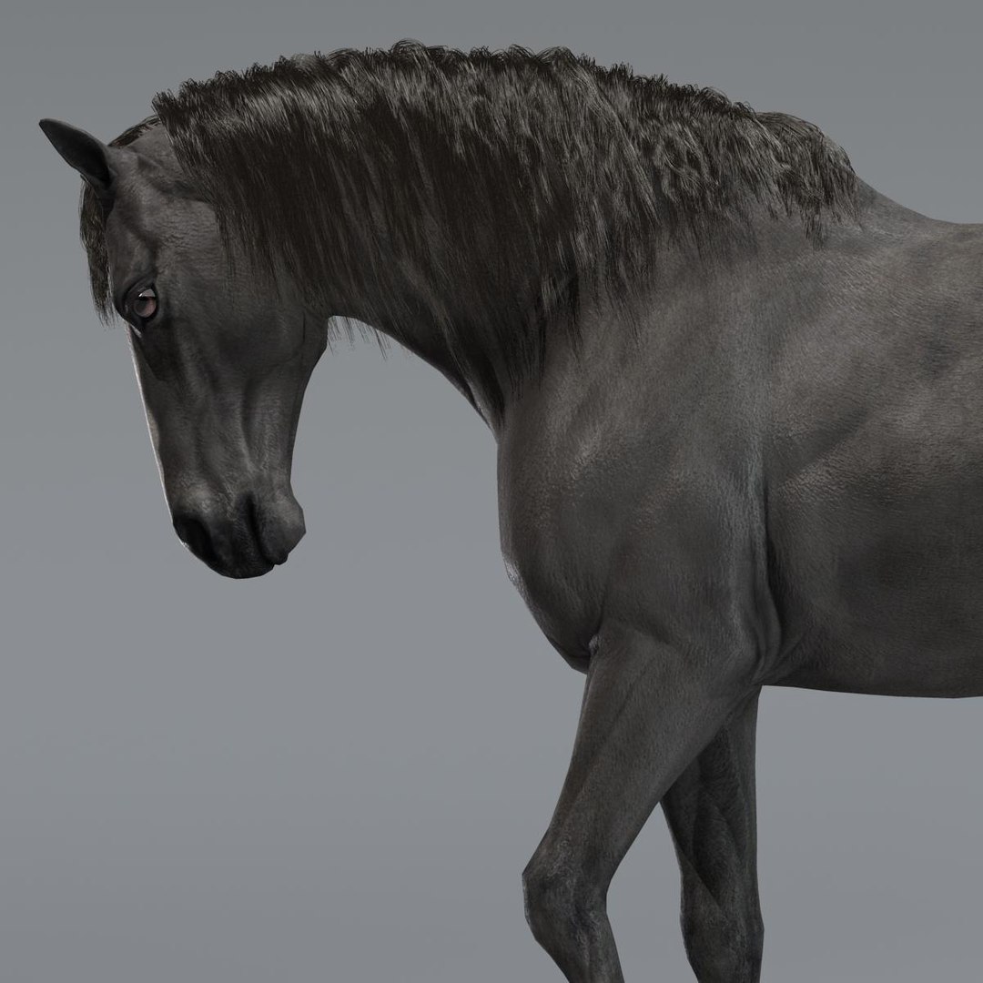 3d model realistic horse