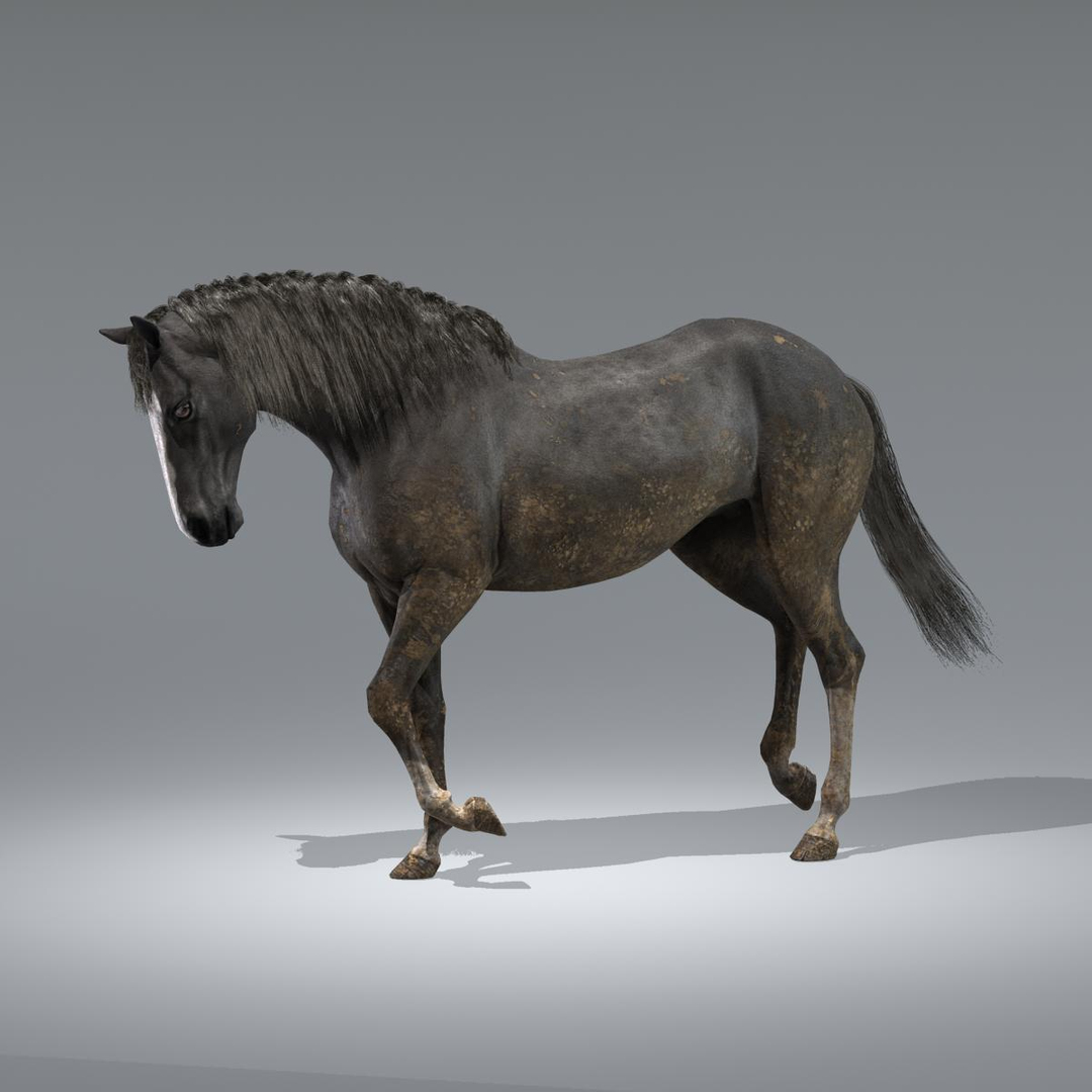 3d model realistic horse