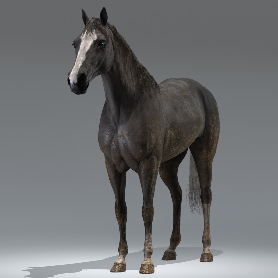 3d model realistic horse
