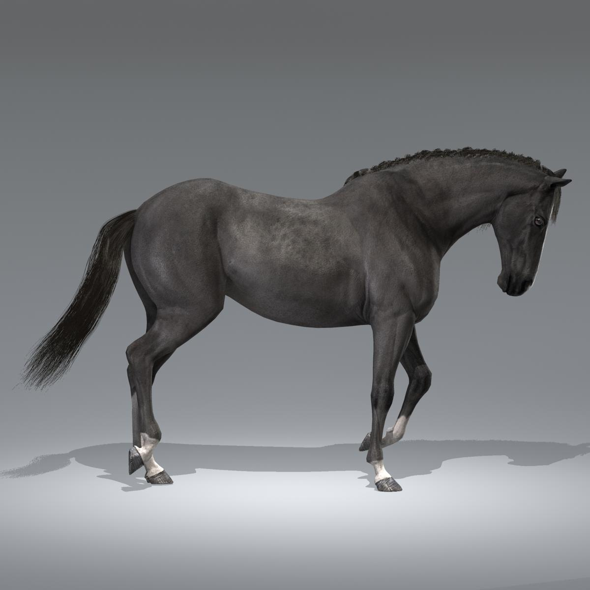 3d model realistic horse
