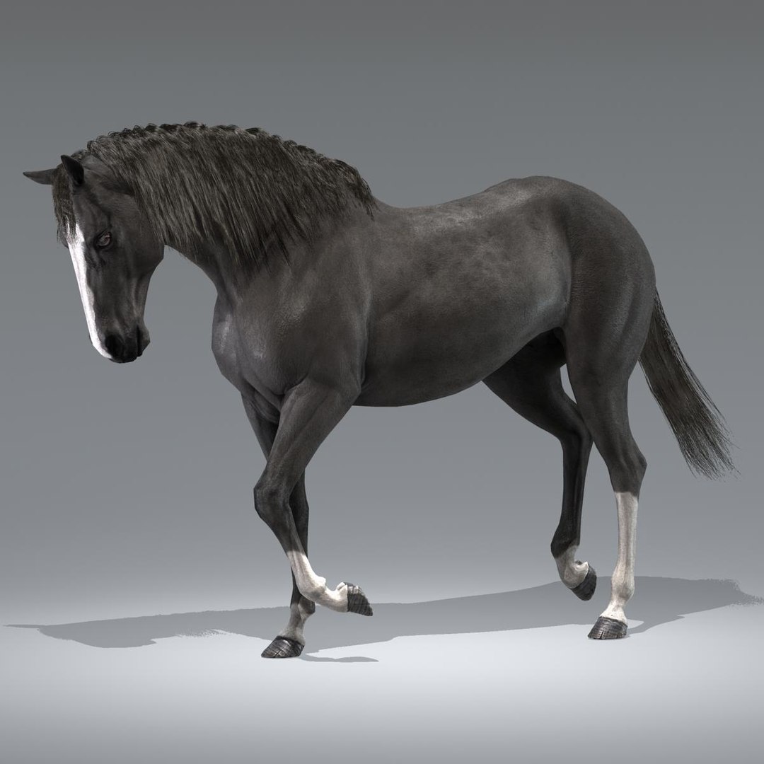 3d model realistic horse
