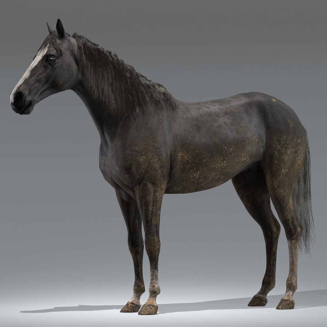 3d model realistic horse