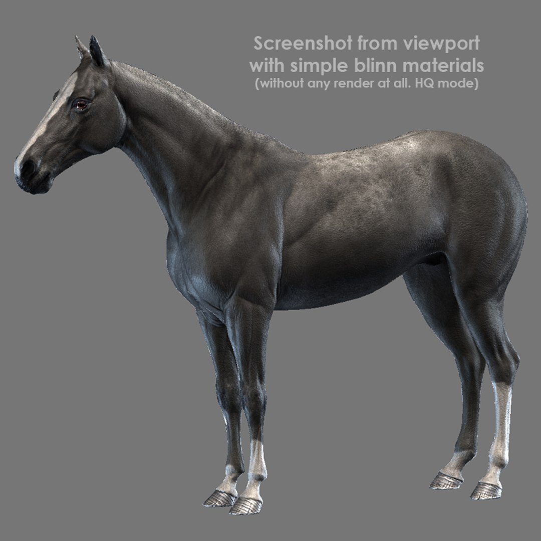 3d model realistic horse