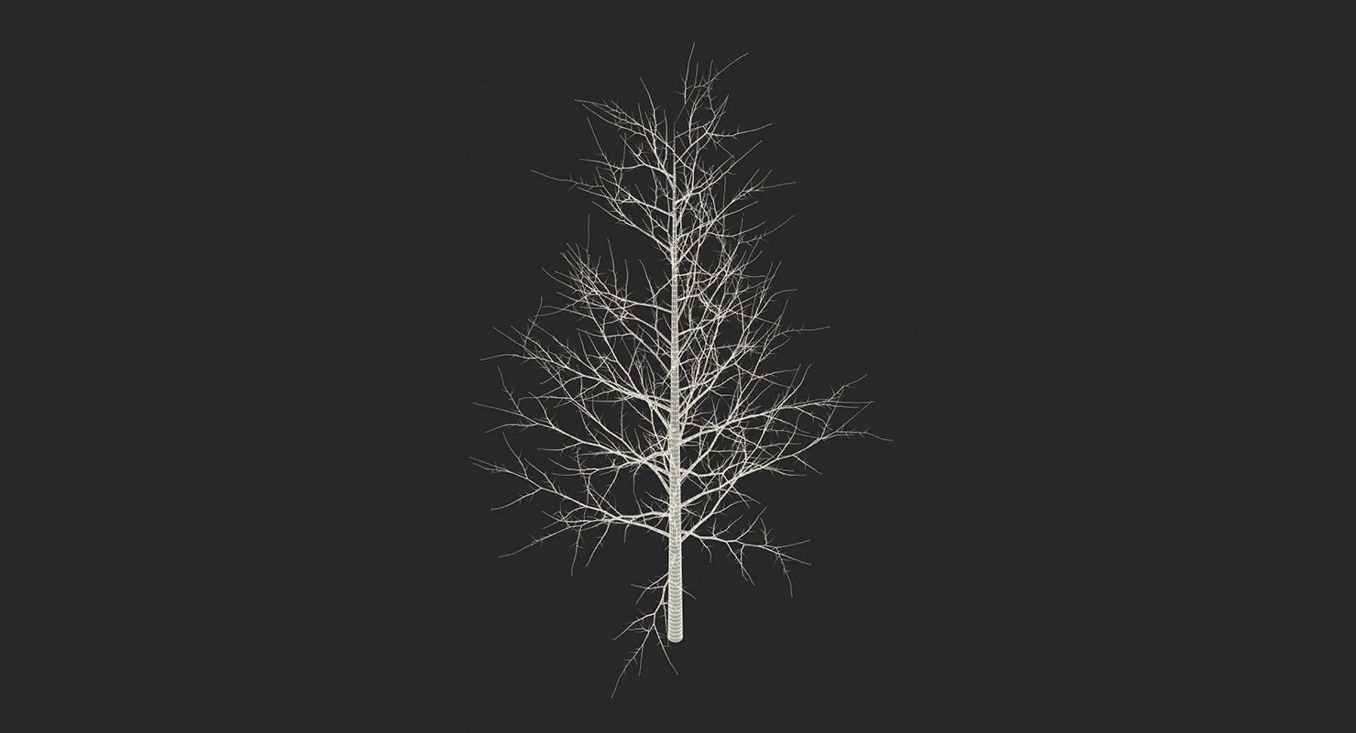 3D winter trees 2 - TurboSquid 1332021