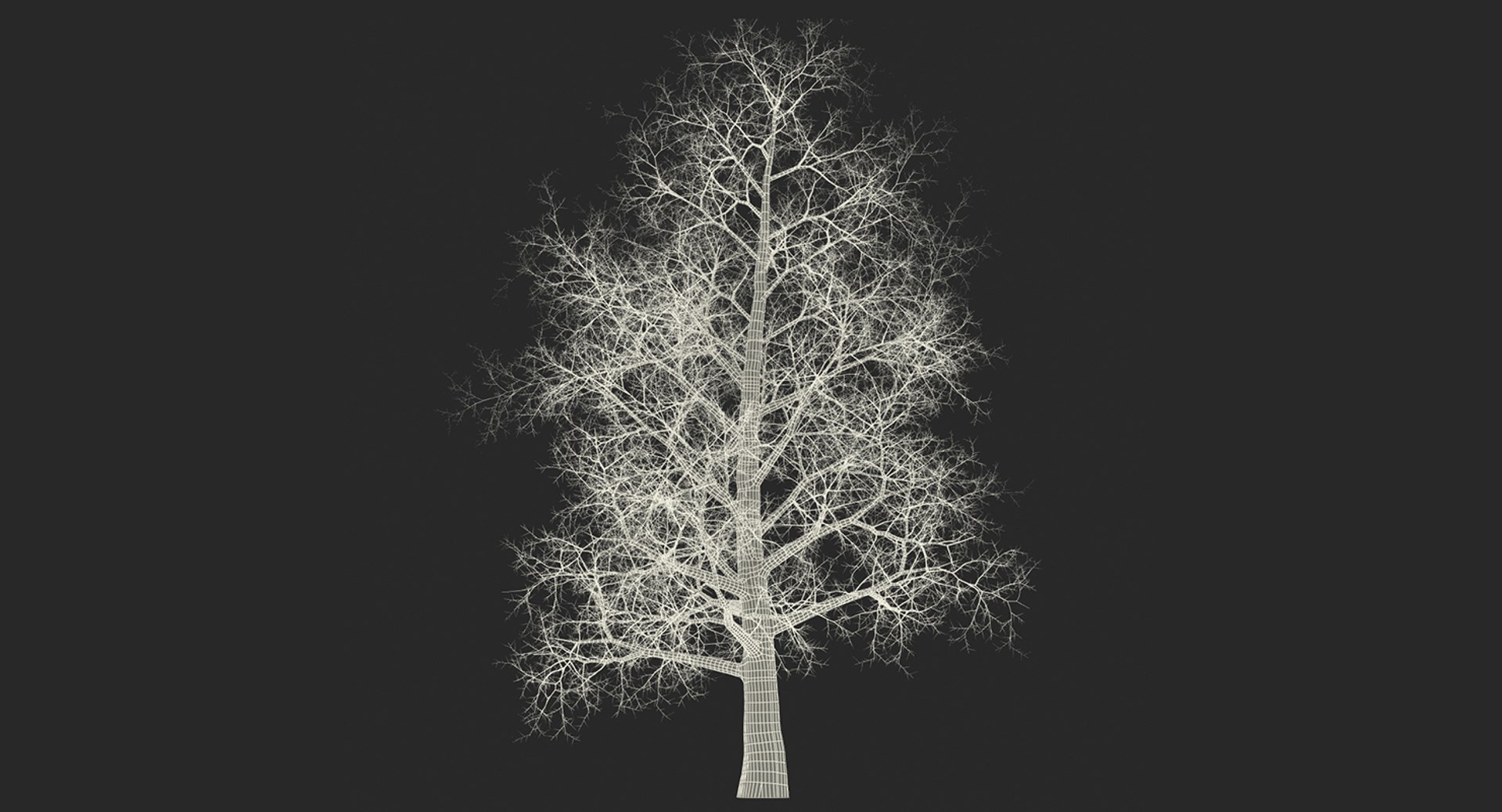 3D winter trees 2 - TurboSquid 1332021