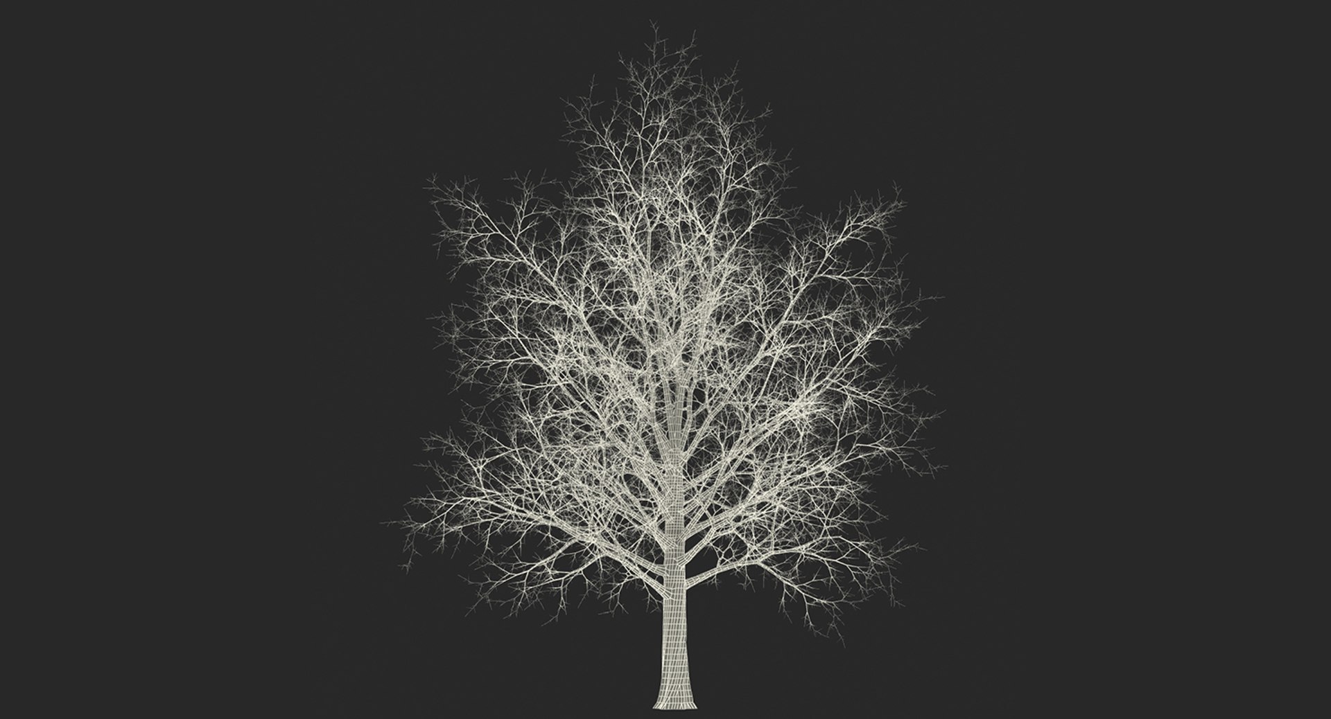 3D winter trees 2 - TurboSquid 1332021
