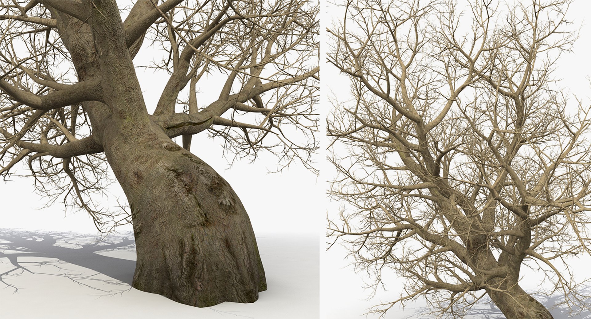 3D winter trees 2 - TurboSquid 1332021