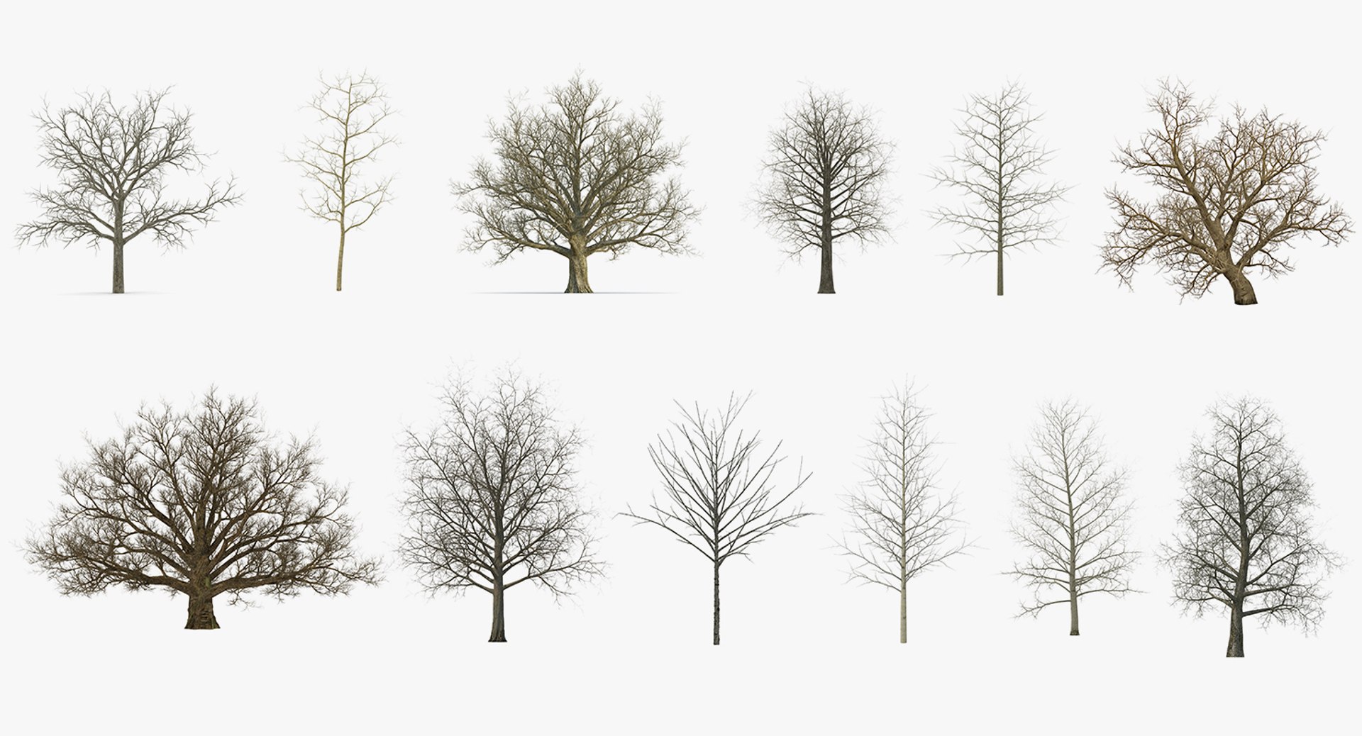 3D winter trees 2 - TurboSquid 1332021