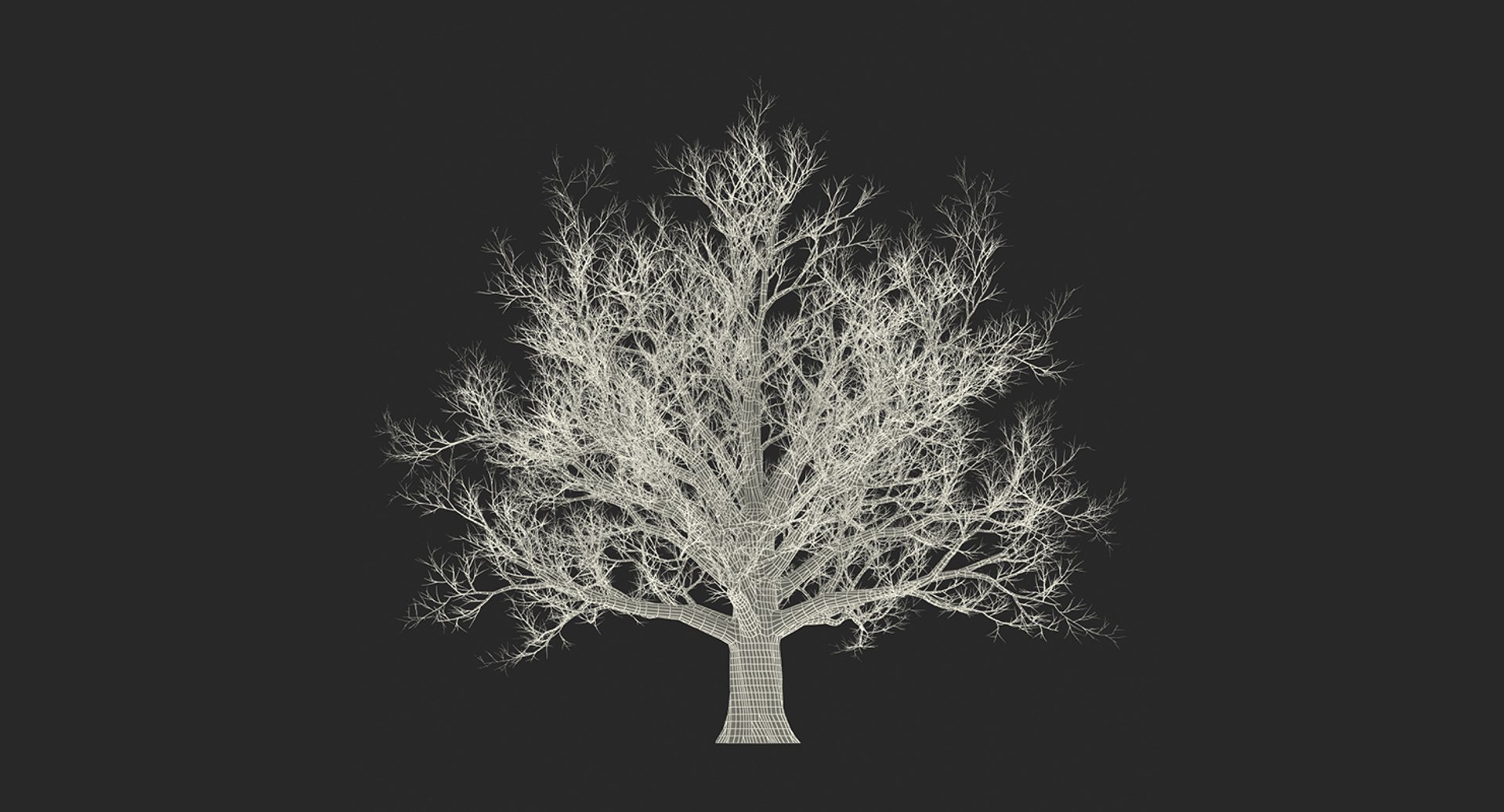 3D winter trees 2 - TurboSquid 1332021