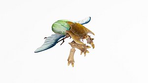 Monster Hunter 3D Models for Download | TurboSquid