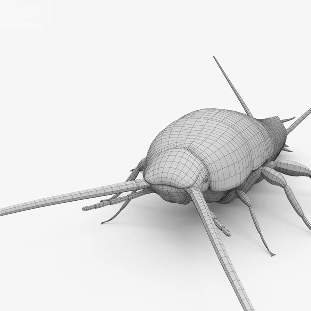 Silverfish hd 3D model - TurboSquid 1652451