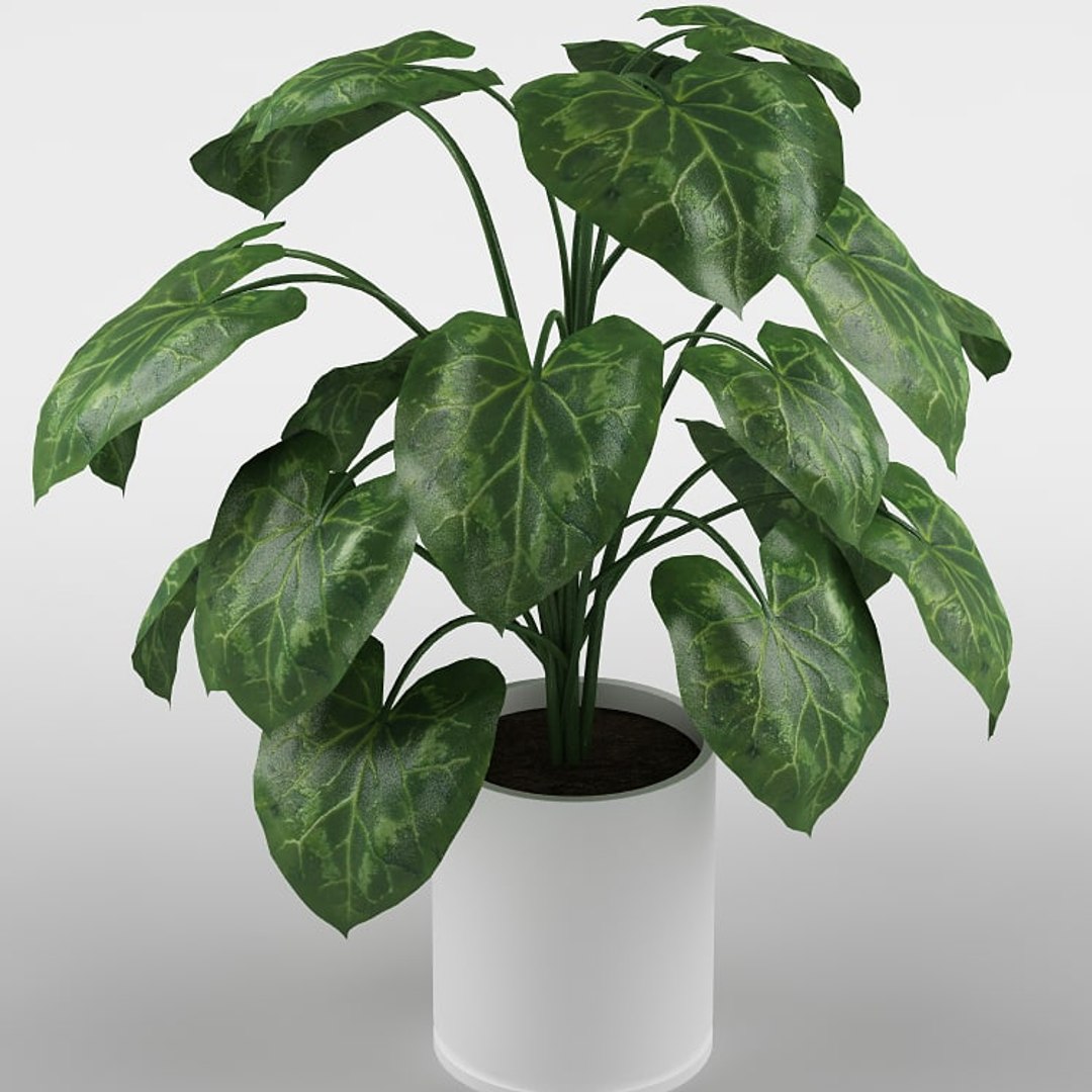 3d Plant Flowerpot Max8 Model