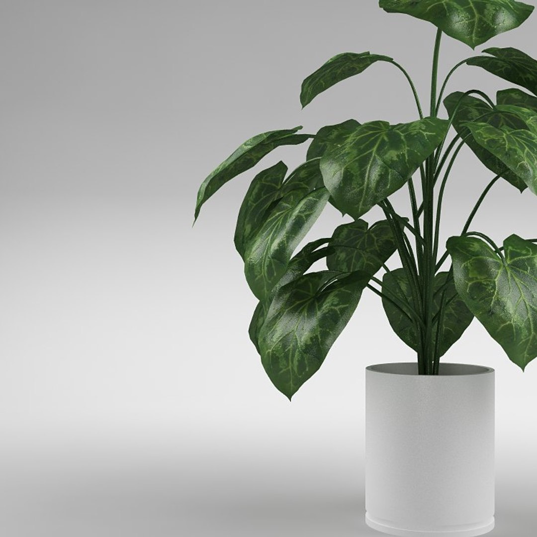 3d Plant Flowerpot Max8 Model