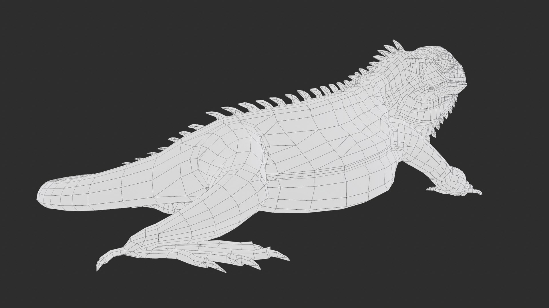 Iguana Rigged PBR 3D Model - TurboSquid 2010498