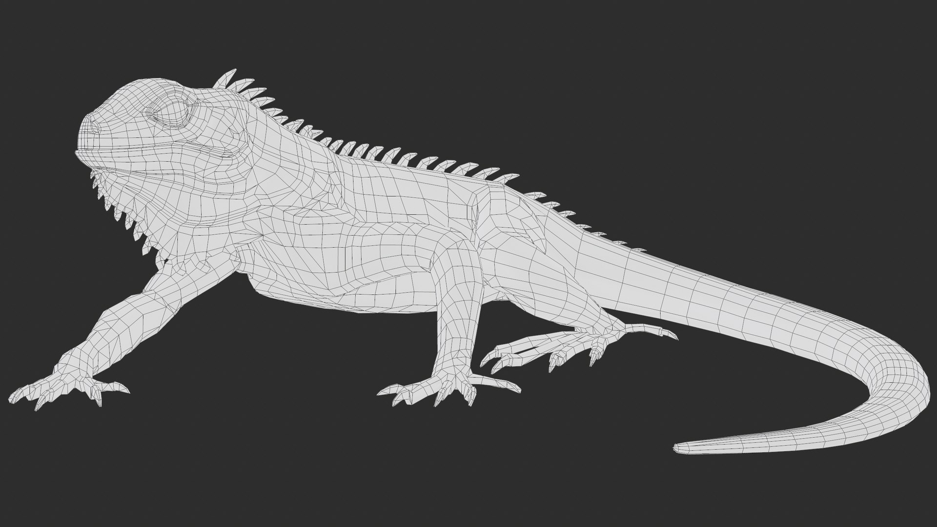 Iguana Rigged PBR 3D Model - TurboSquid 2010498