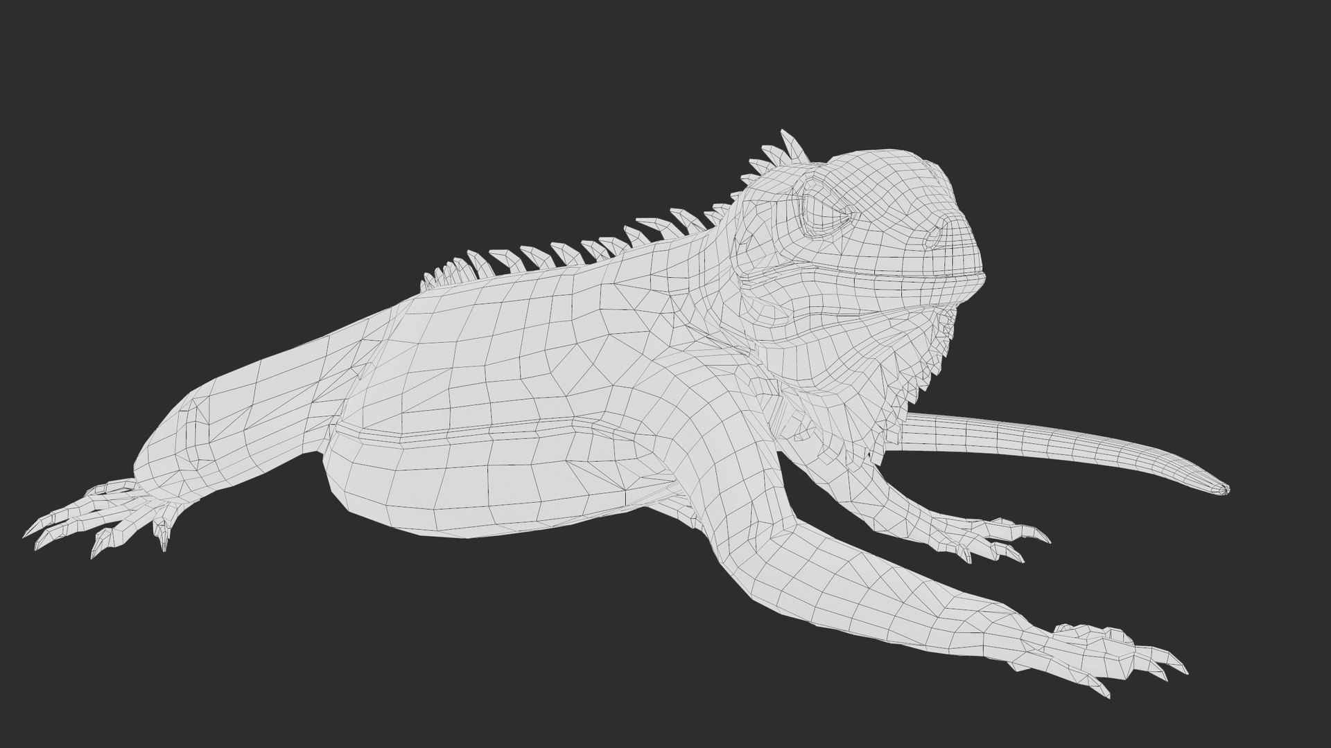 Iguana Rigged PBR 3D Model - TurboSquid 2010498