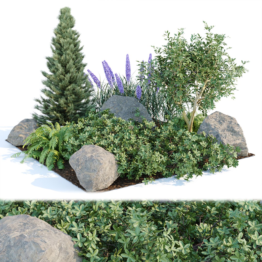Outdoor Garden Plants Collection Vol 69 3D - TurboSquid 1959969