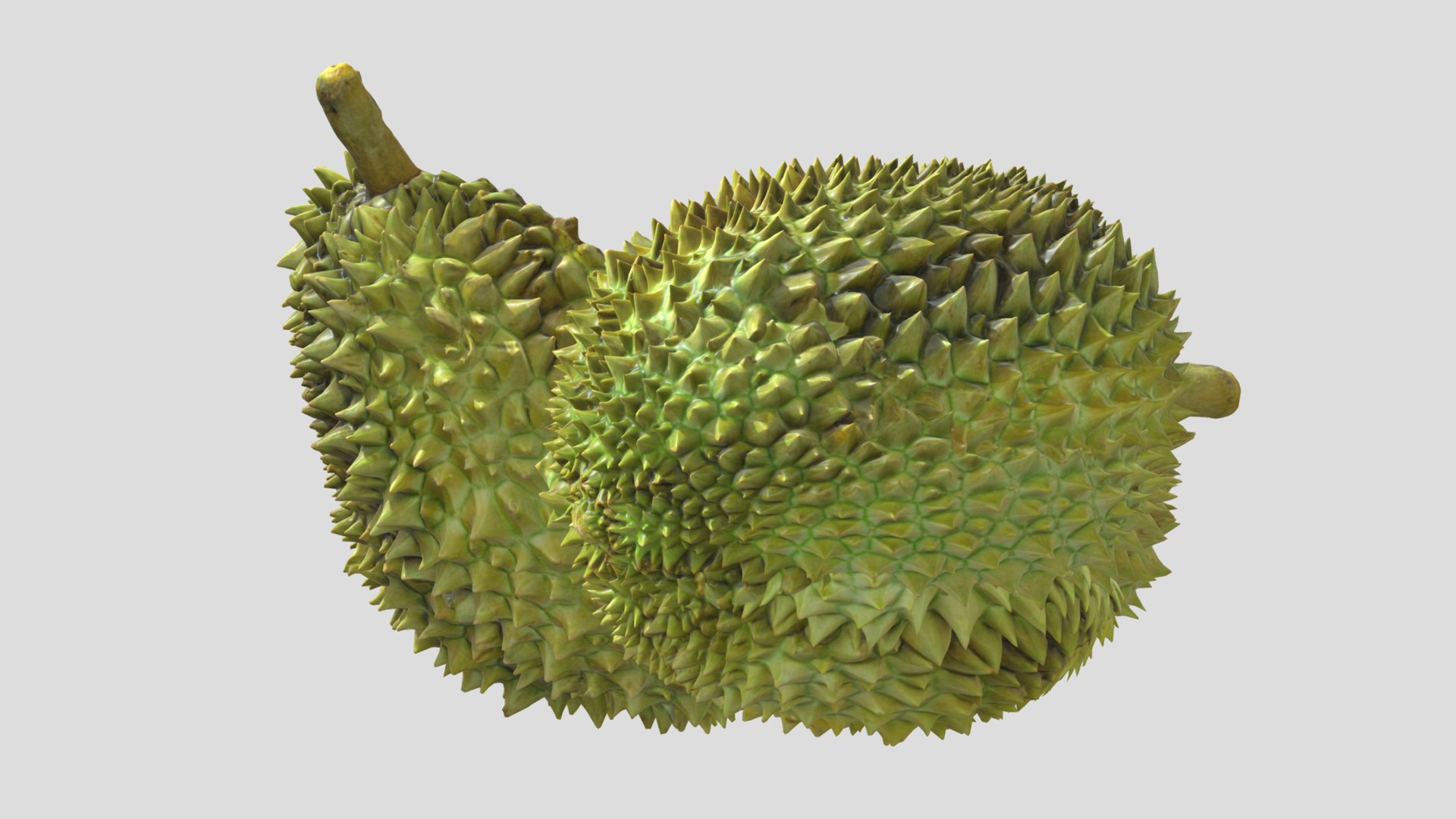3D Durian Low Poly - TurboSquid 2272686
