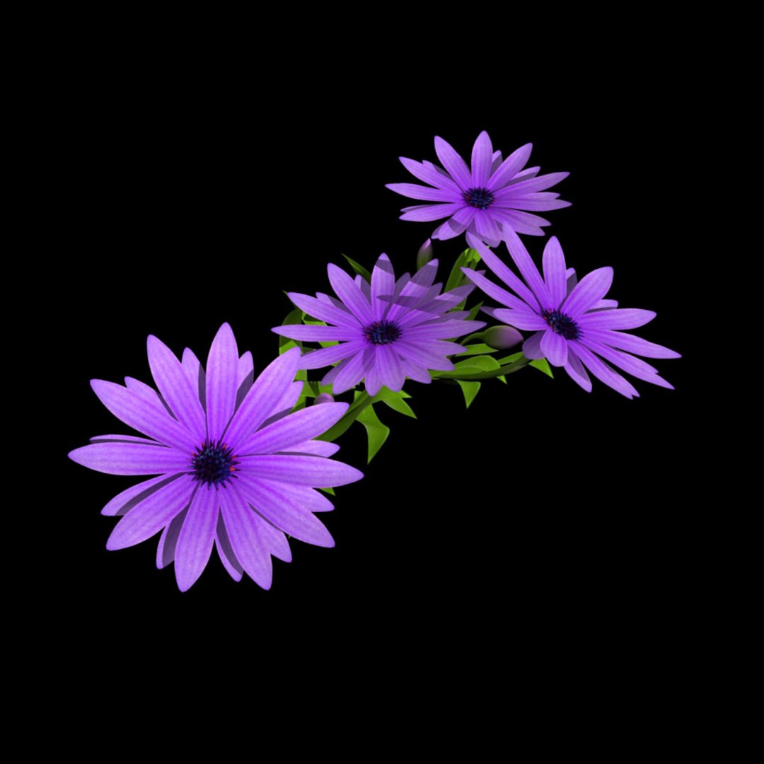 Purple Flower 3d Model