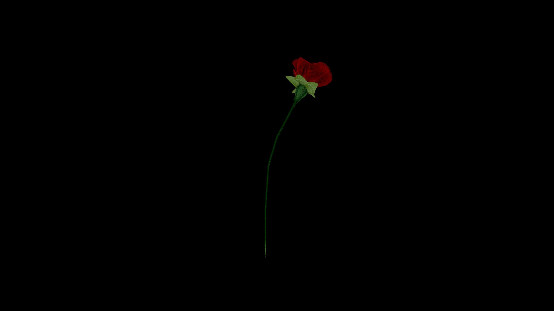 3D Red Rose Flower - TurboSquid 2245532