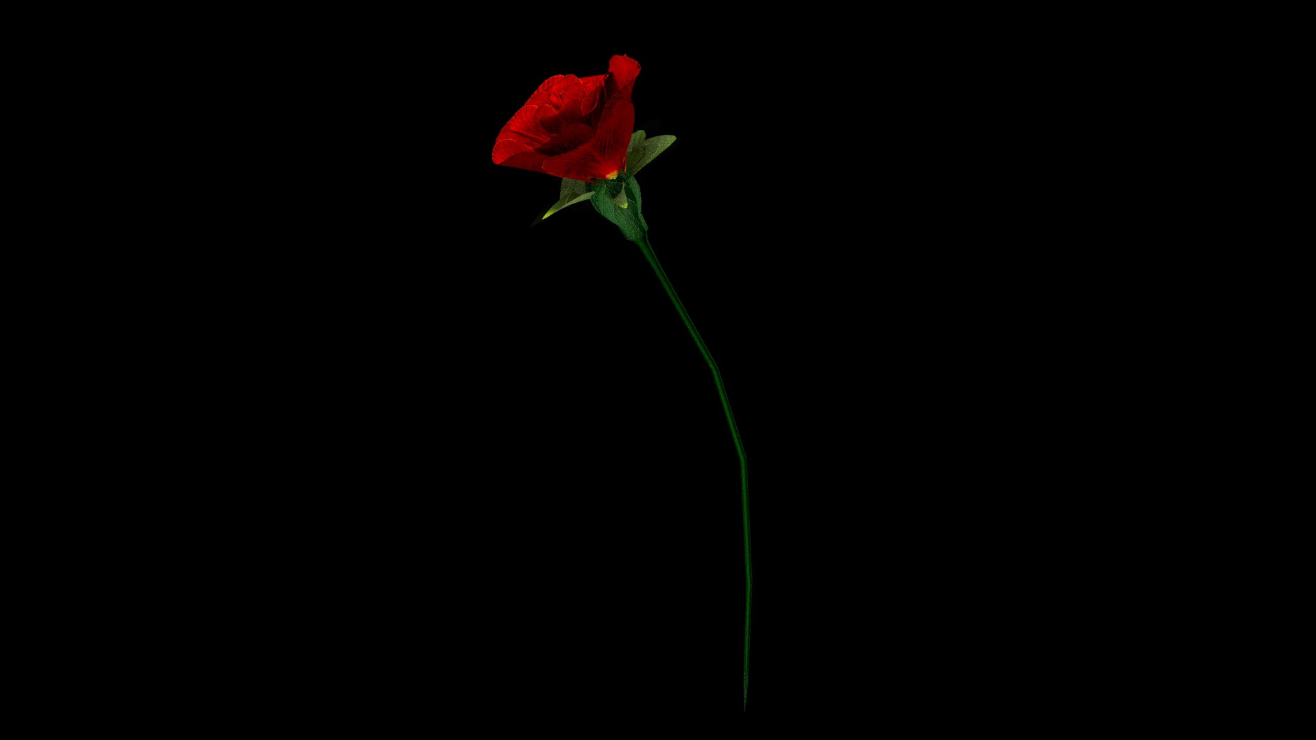 3D Red Rose Flower - TurboSquid 2245532