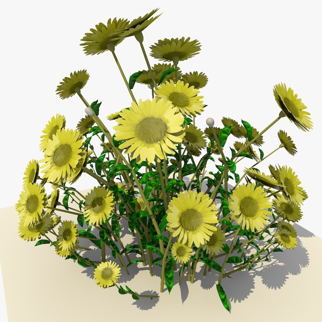 yellow daisy flowers 3d model