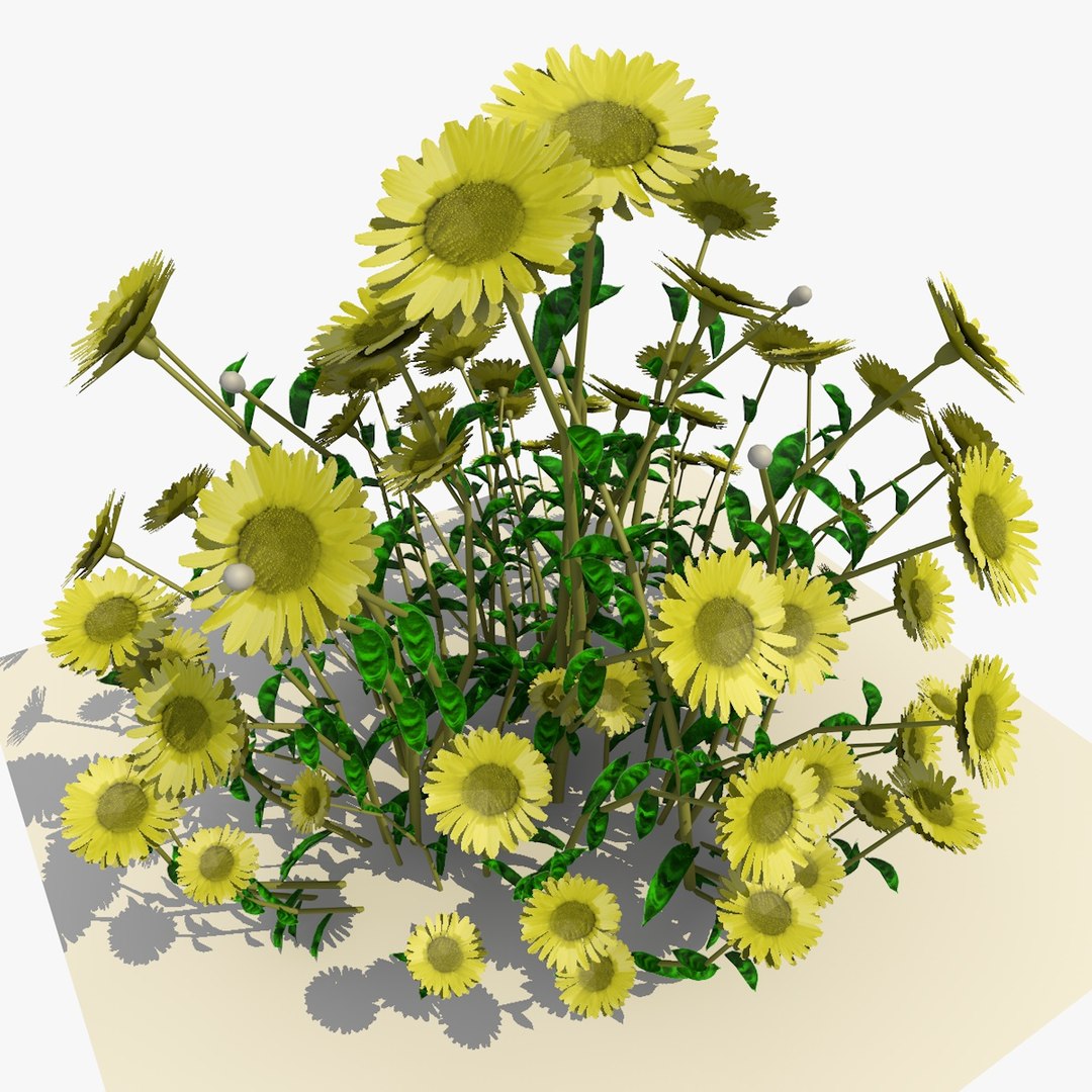 yellow daisy flowers 3d model