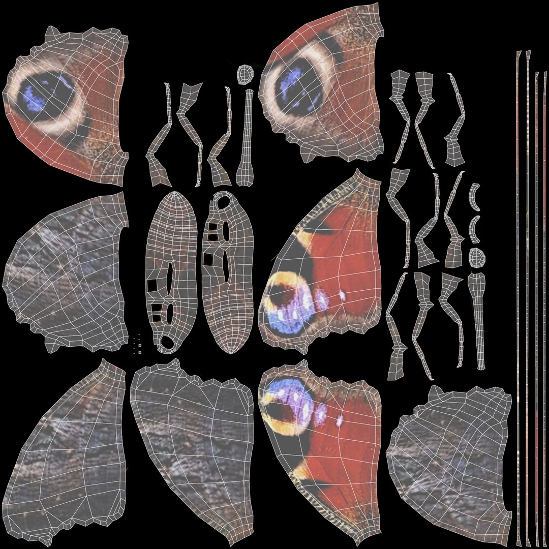 Peacock Butterfly Model - TurboSquid 1766325