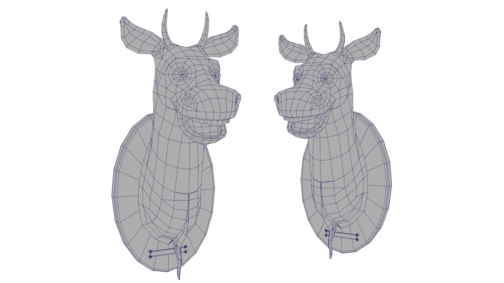 Nilgai Head Trophy 3D Model - TurboSquid 2054389