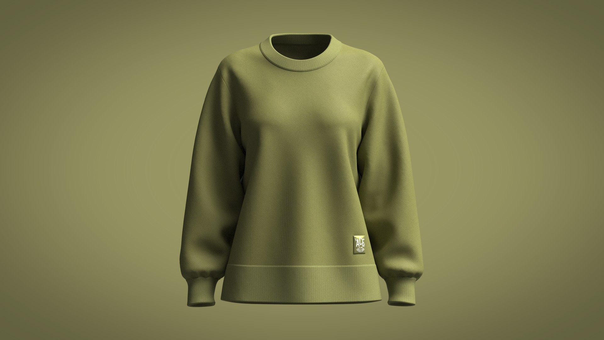 3D Ladies Sweater model - TurboSquid 2164208