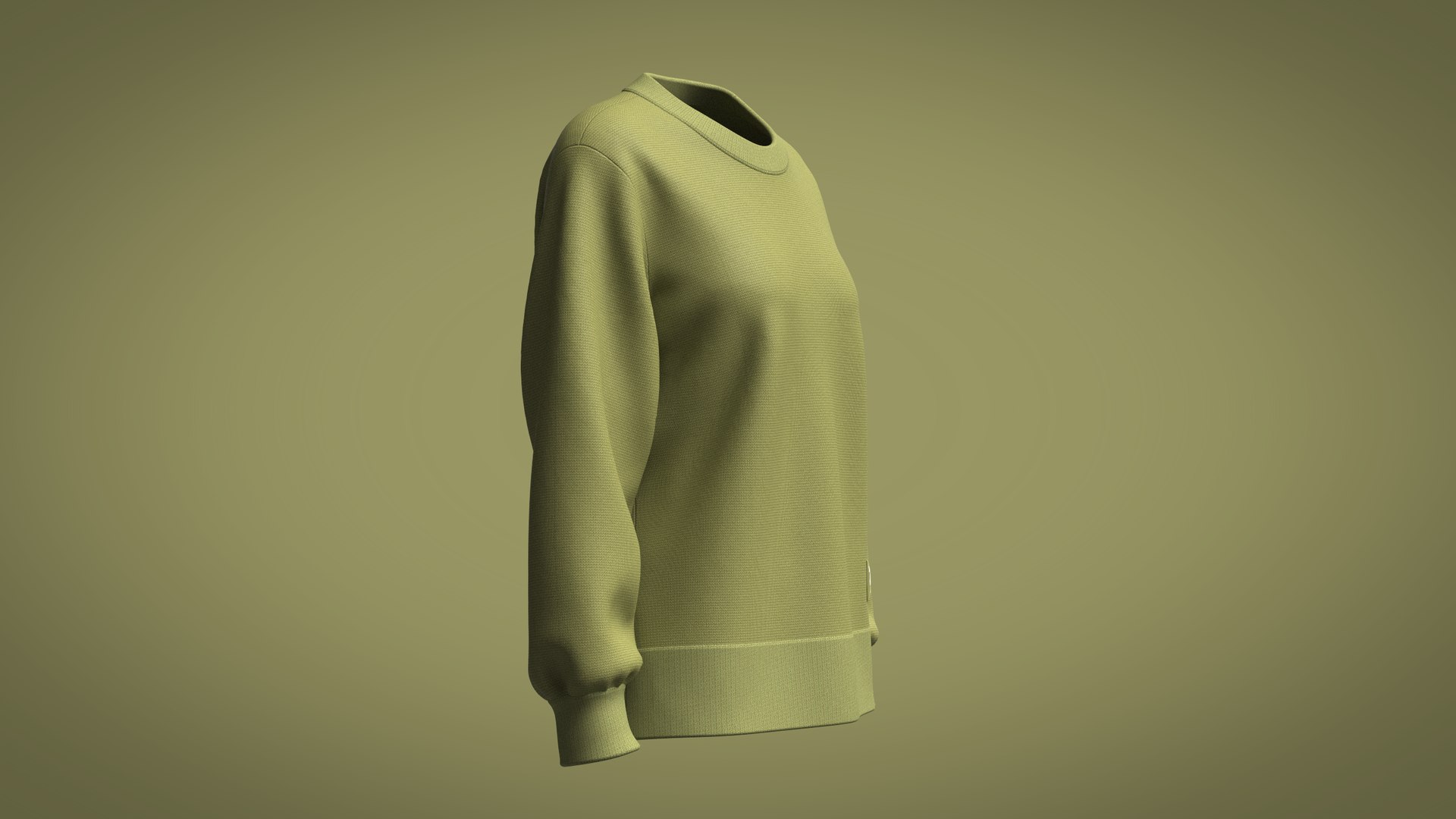 3D Ladies Sweater Model - TurboSquid 2164208