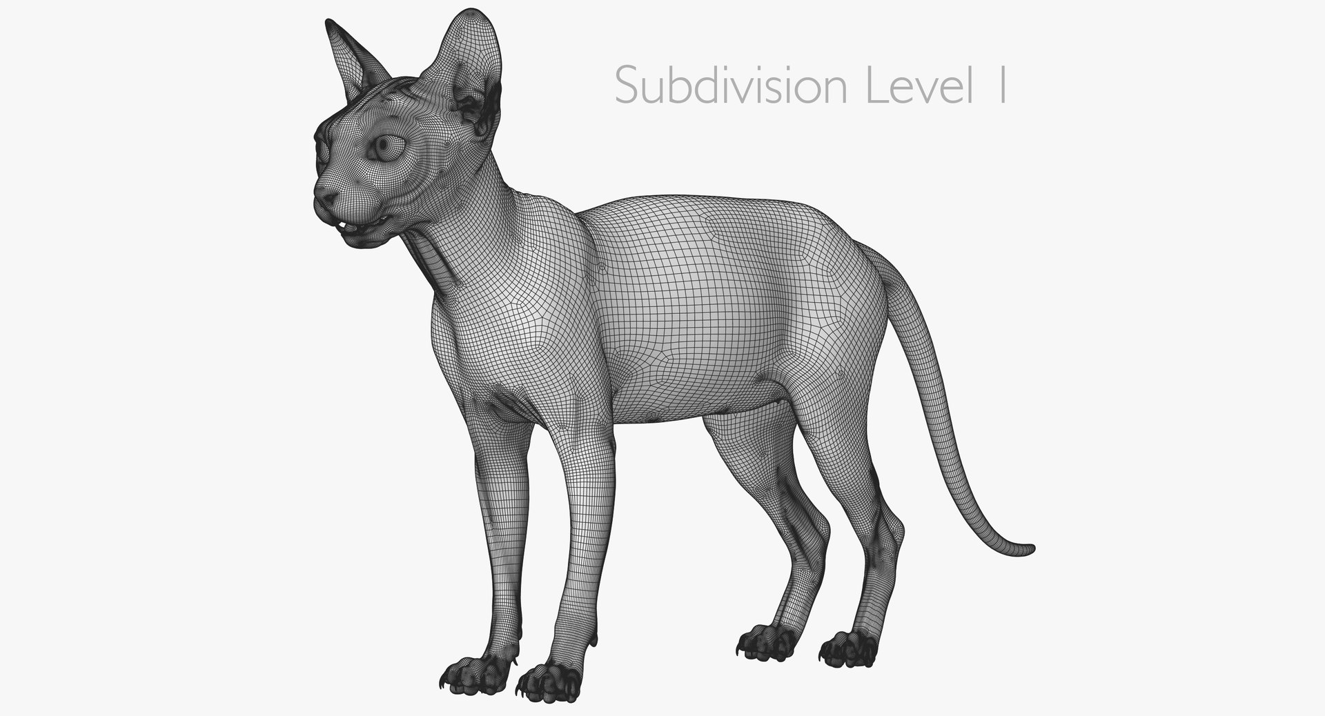 3D Sphynx Cat Animated Collection - TurboSquid 1777415