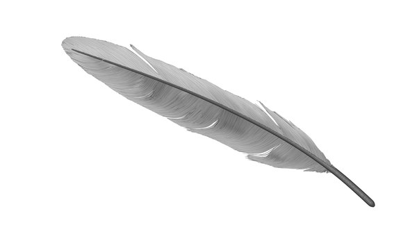modelo 3d Pluma de cuervo - TurboSquid 1936718