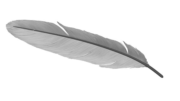 modelo 3d Pluma de cuervo - TurboSquid 1936718