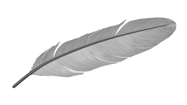 modelo 3d Pluma de cuervo - TurboSquid 1936718