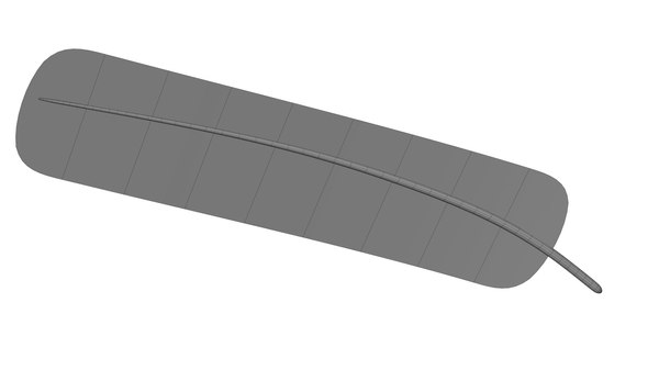 modelo 3d Pluma de cuervo - TurboSquid 1936718